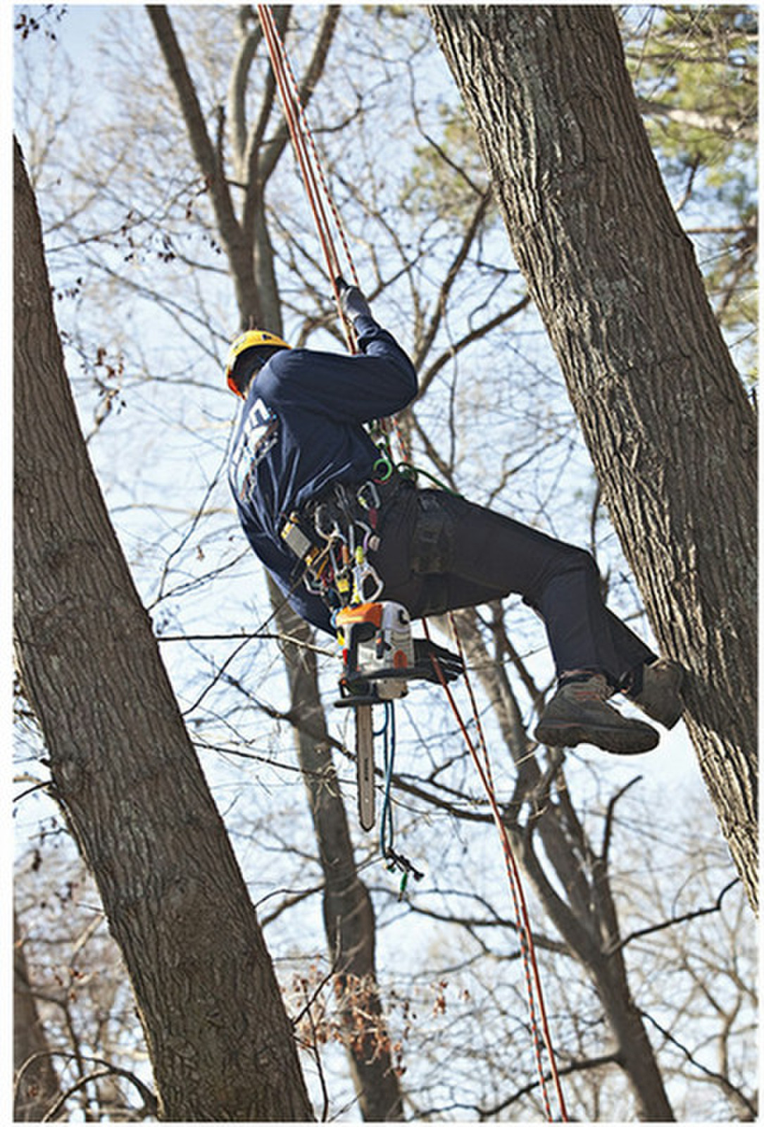 ᐈ Stihl MS 201 T • Compare prices • Technical specifications.