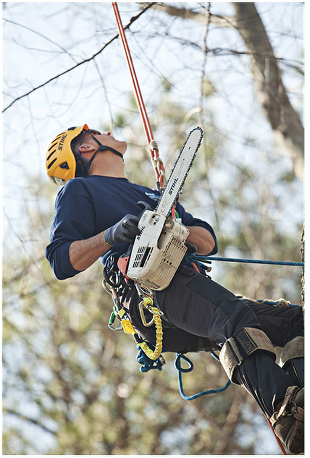 ᐈ Stihl MS 201 T • Compare prices • Technical specifications.